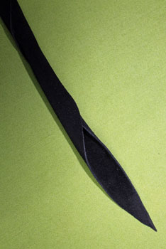 Dragon Tail Whip